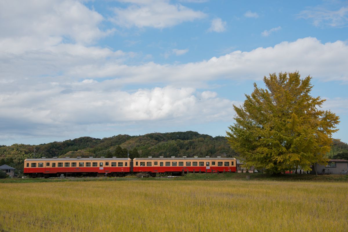 小湊鐵道・上総久保駅 | GANREF