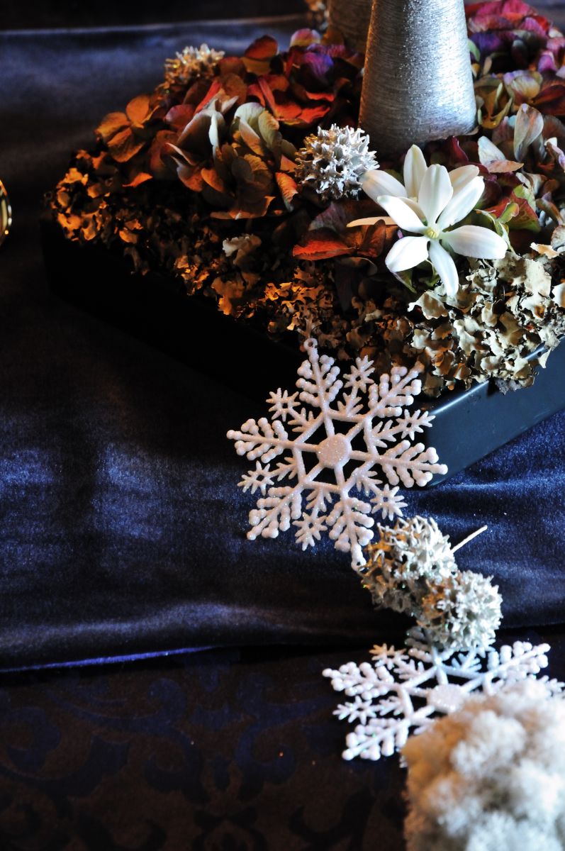 雪の結晶.jpg | GANREF