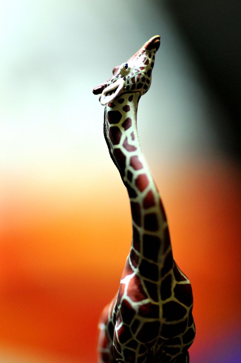 -giraffe- | GANREF