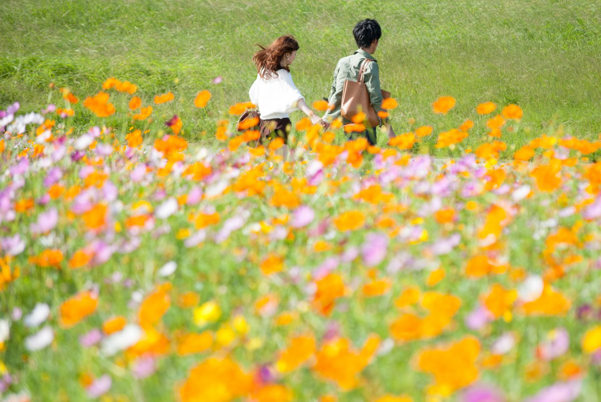 いっしょに♪ | GANREF