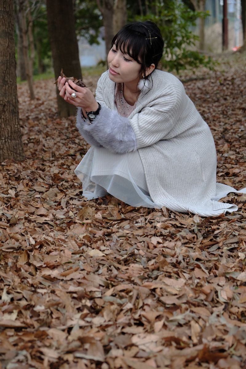 落ち葉の | GANREF