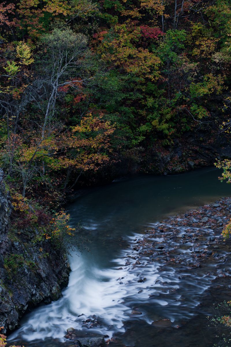 Beautiful flow | GANREF