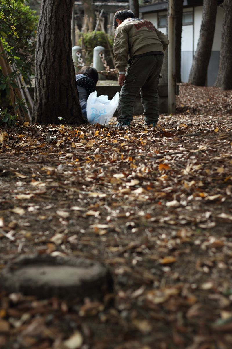 ドングリ★デート | GANREF