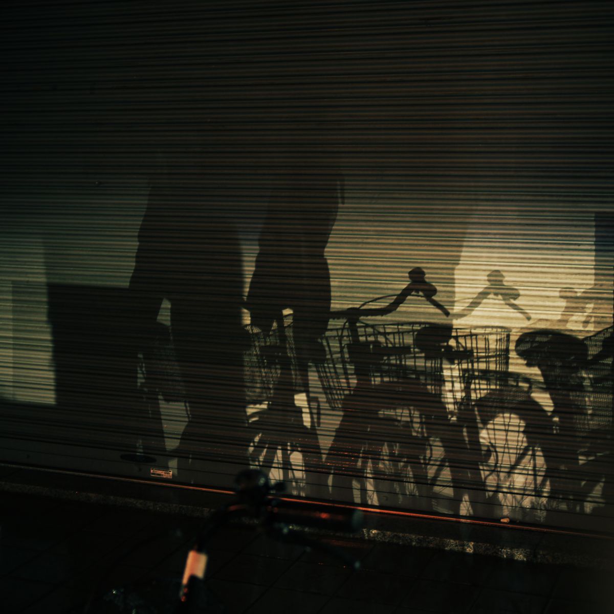 Shadow Lovers | GANREF