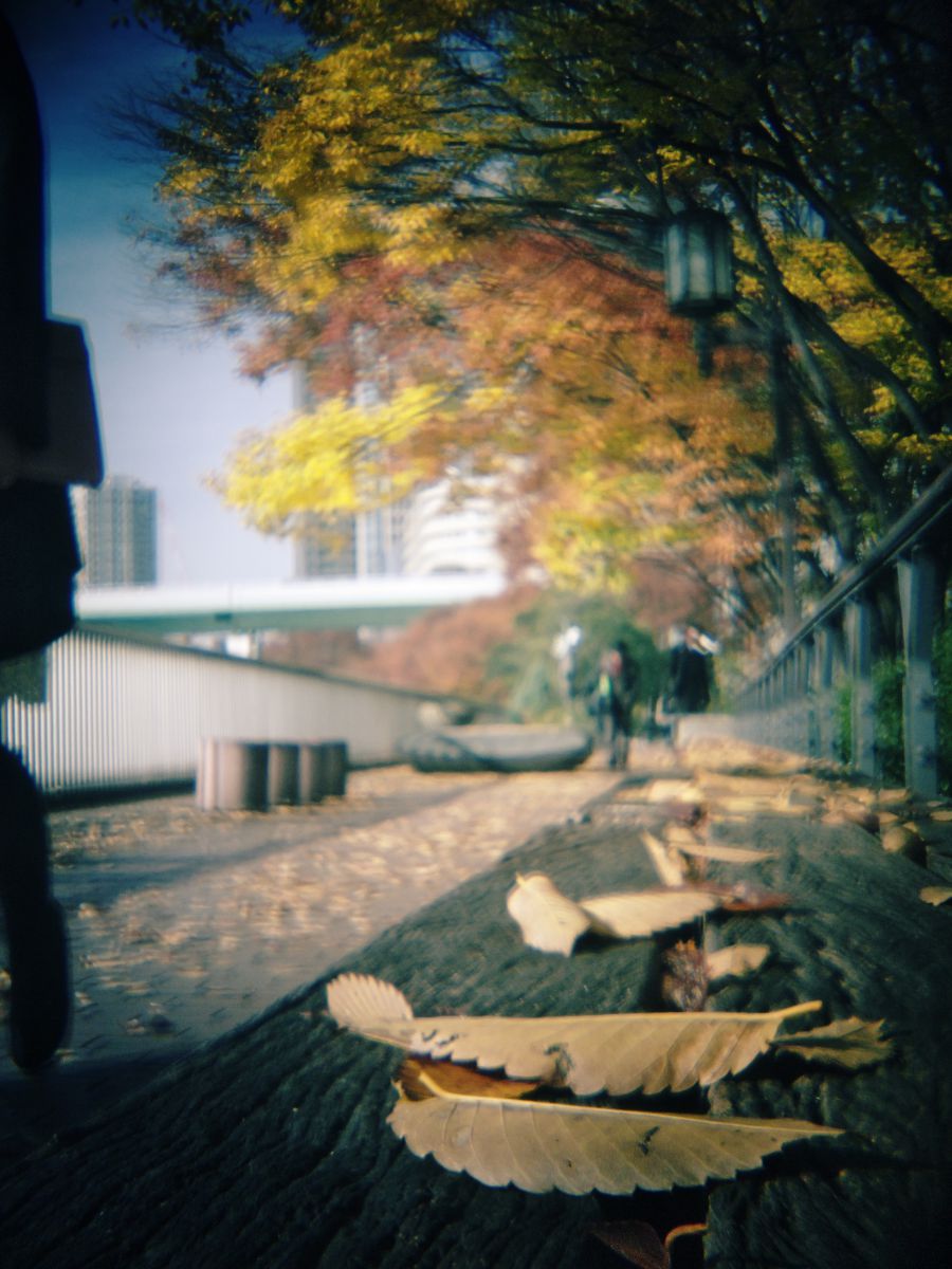 Autumn in NY | GANREF