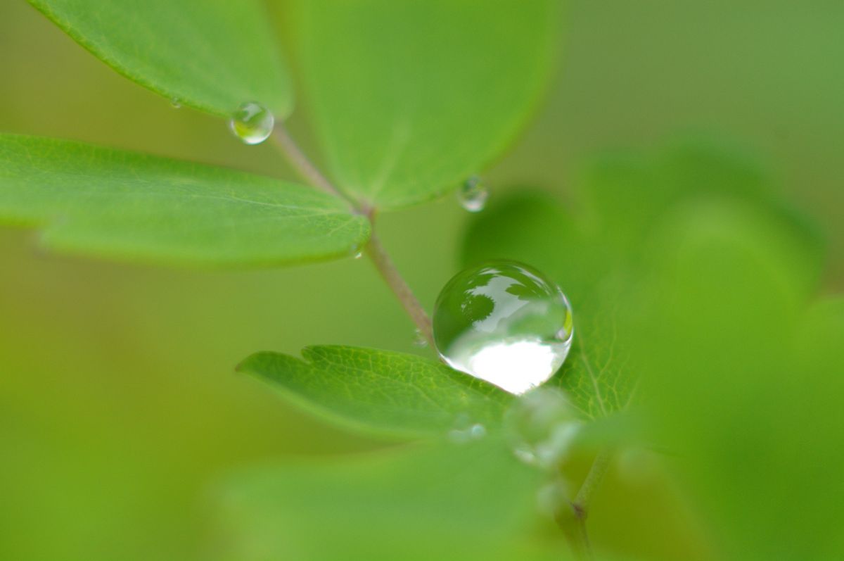 つ・る・ん | GANREF