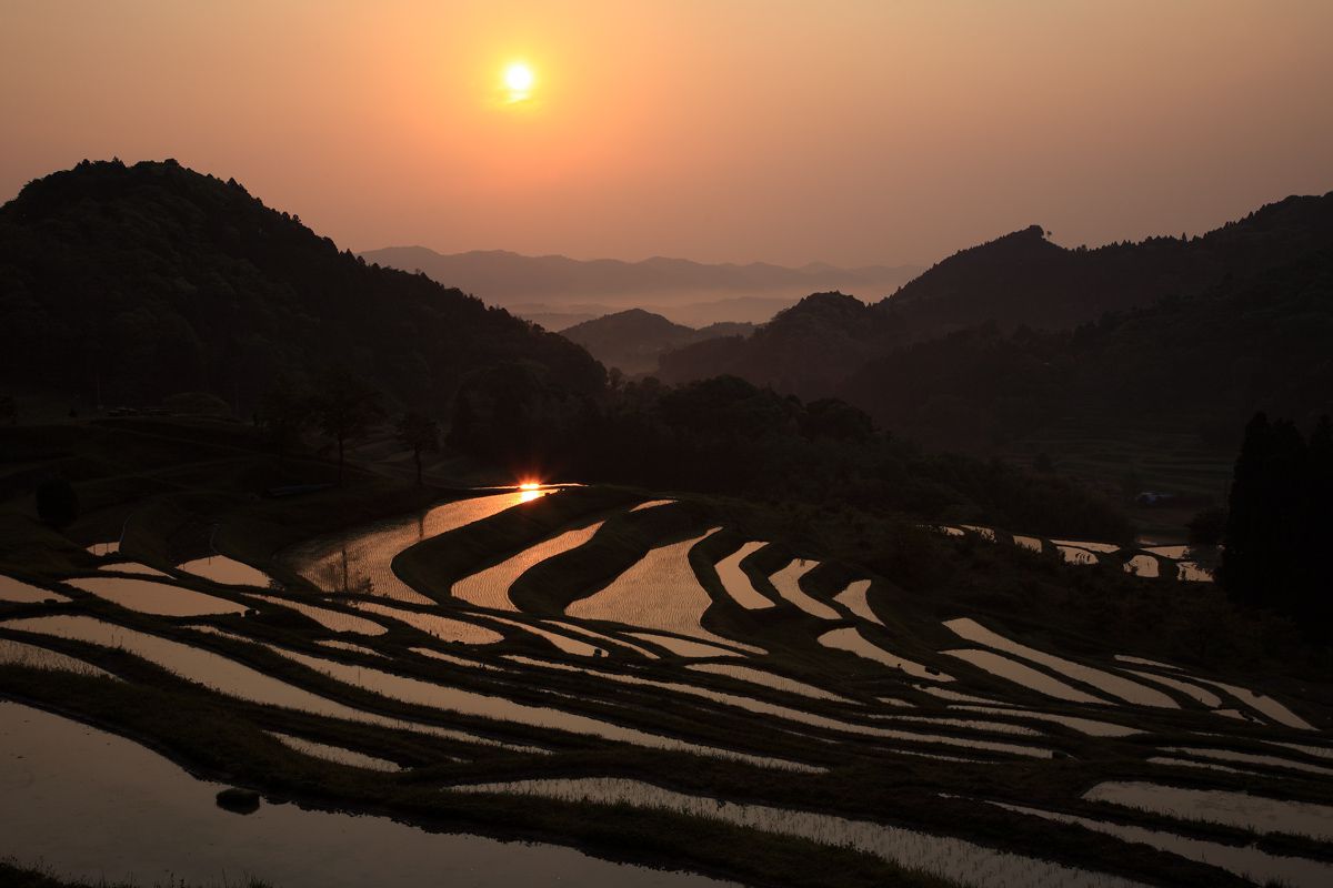 web-tanada2.jpg | GANREF