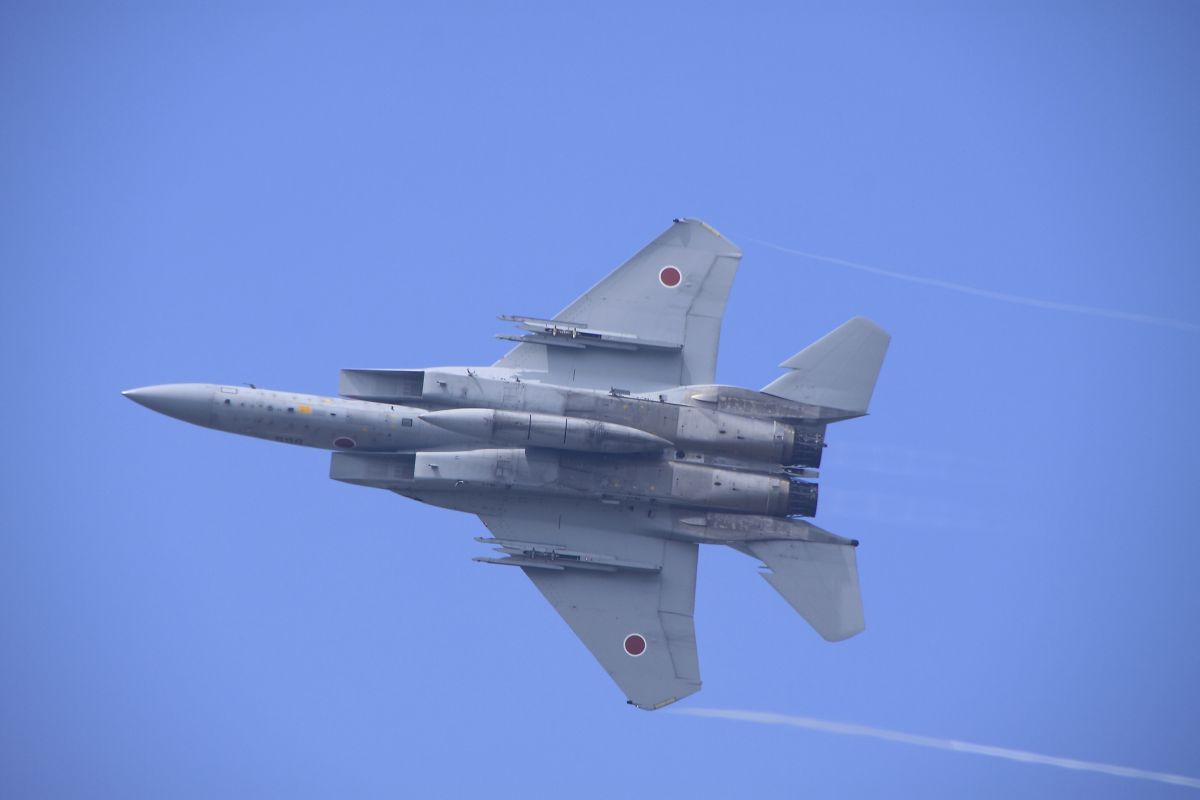 F15のおなか | GANREF