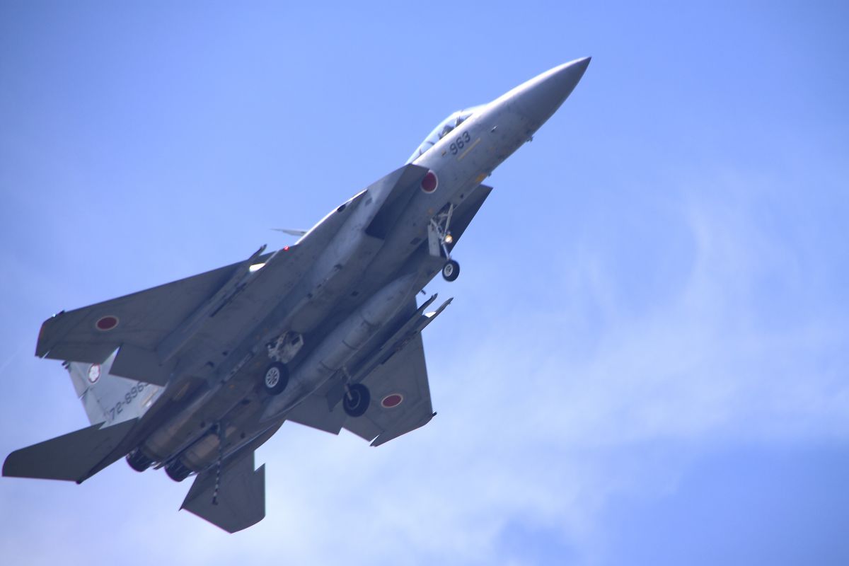 F15のおなか② | GANREF