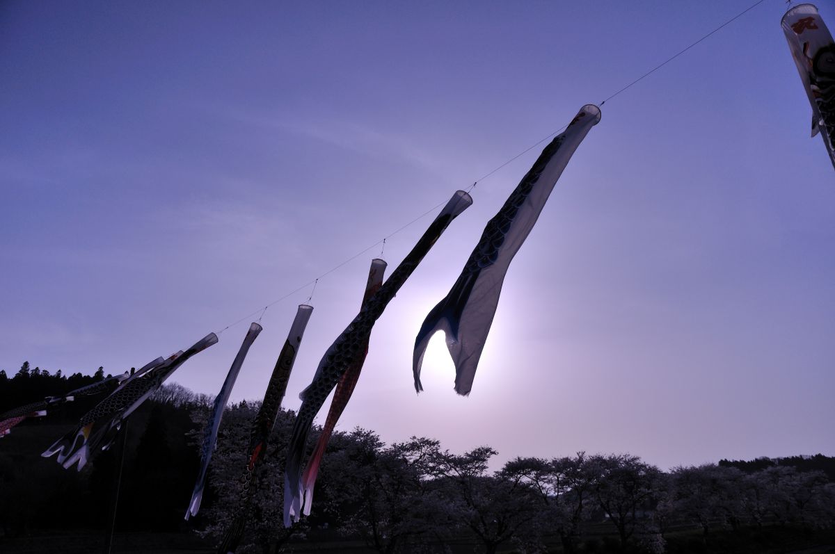 DSC_3579.jpg | GANREF