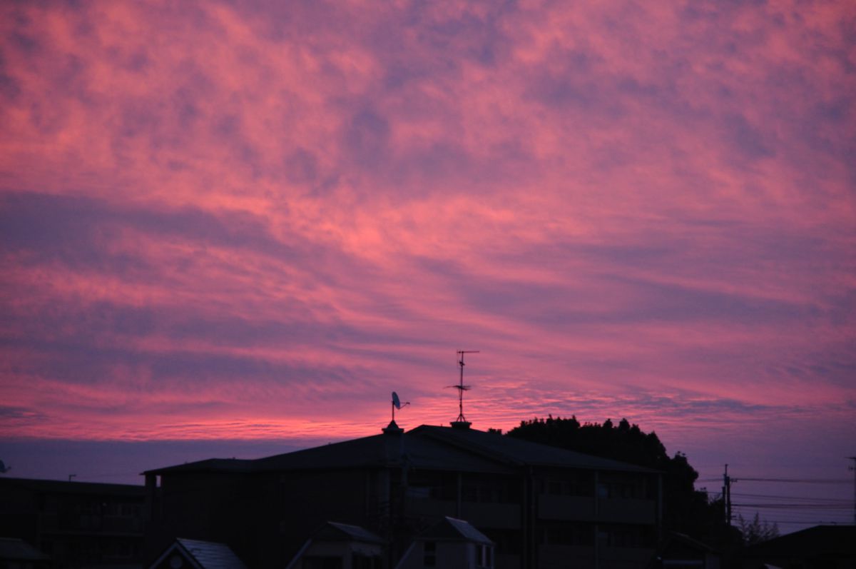 2009.11.08 朝 | GANREF