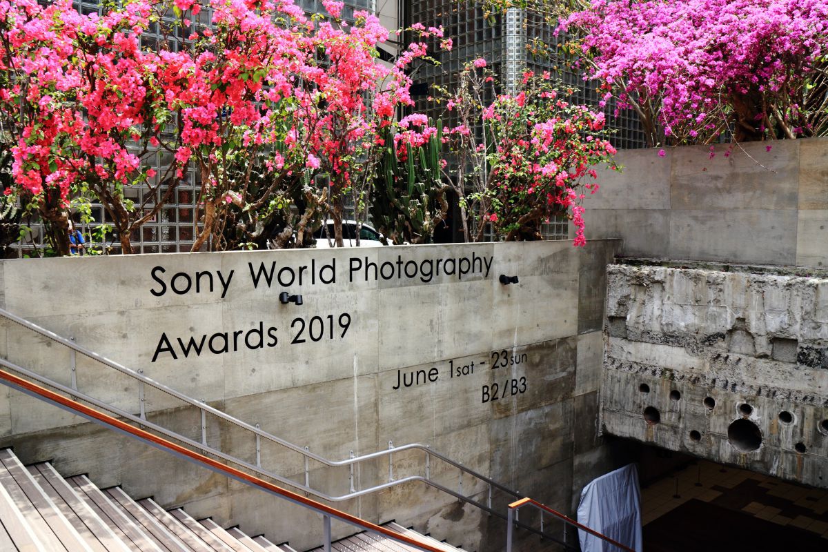 Sony World Photography Awards 2019 | GANREF