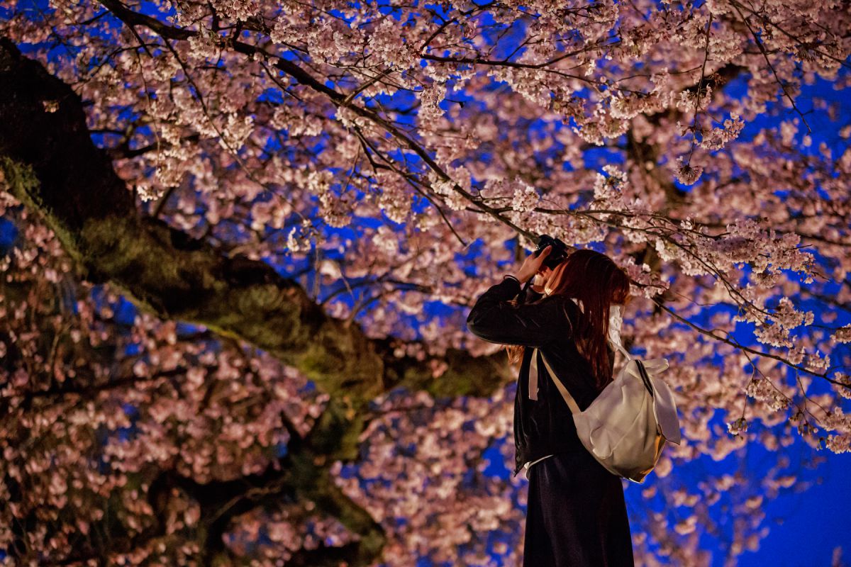 Ladies Night | GANREF