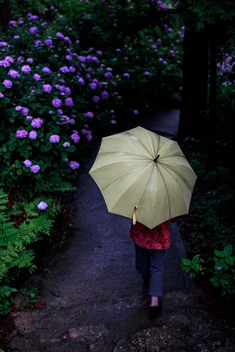 Time to leave | GANREF