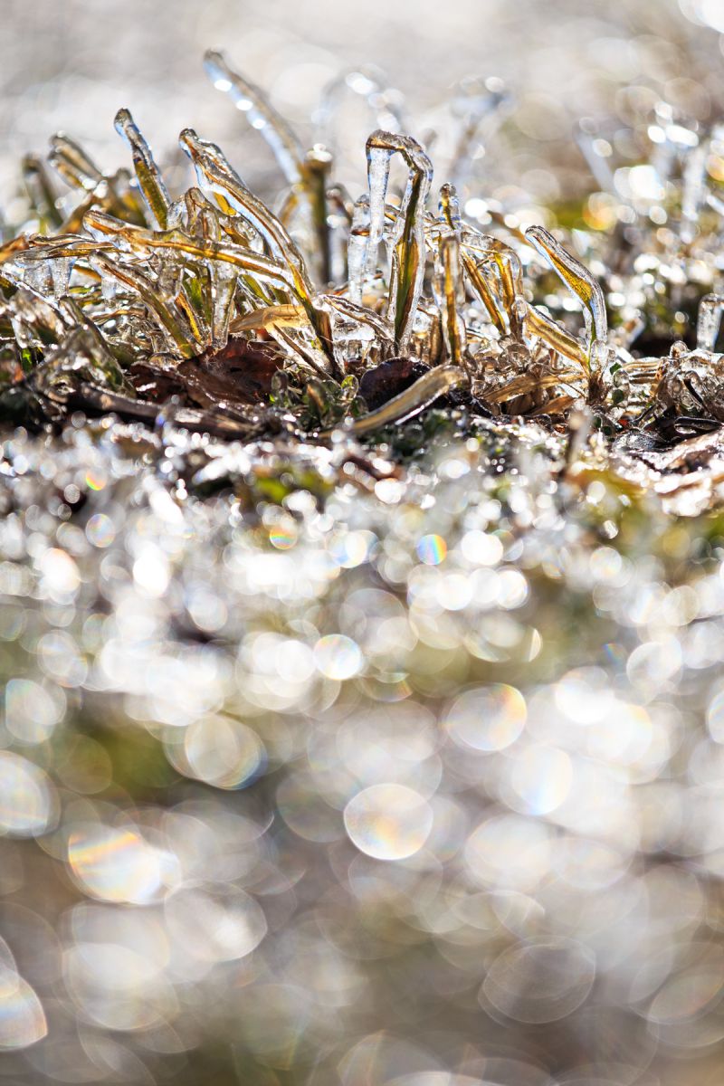 Ice flashing | GANREF