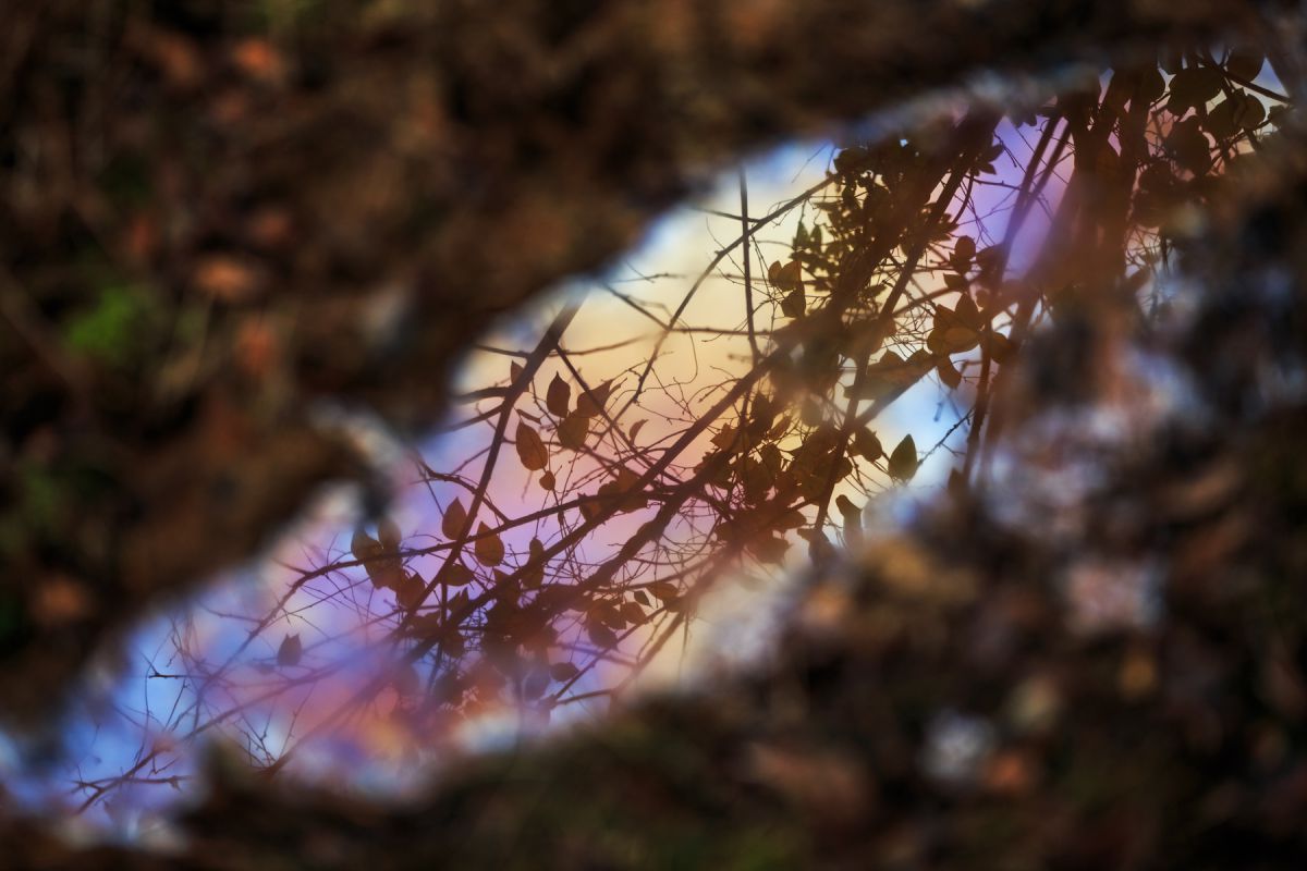 Bright water | GANREF