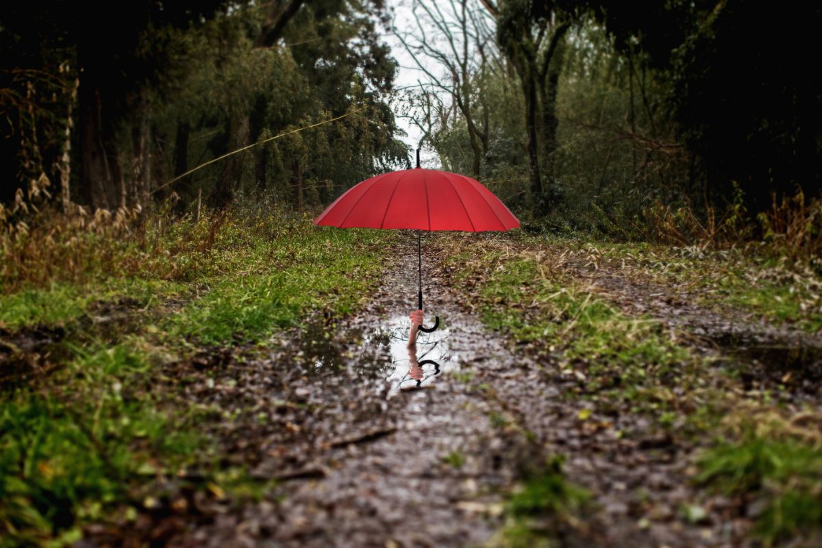 HIDE & SEEK | GANREF