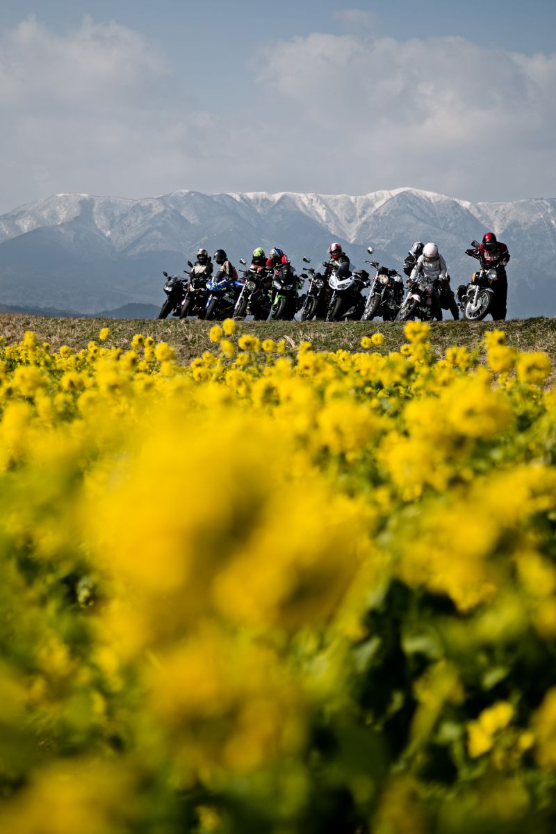 Drive your life | GANREF