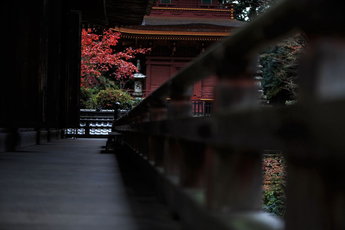 Straight Line | GANREF