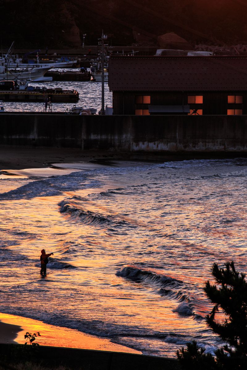 Field Of Waves | GANREF