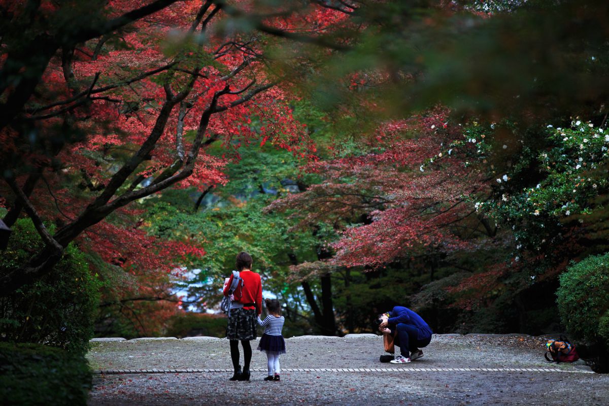 記念写真 | GANREF