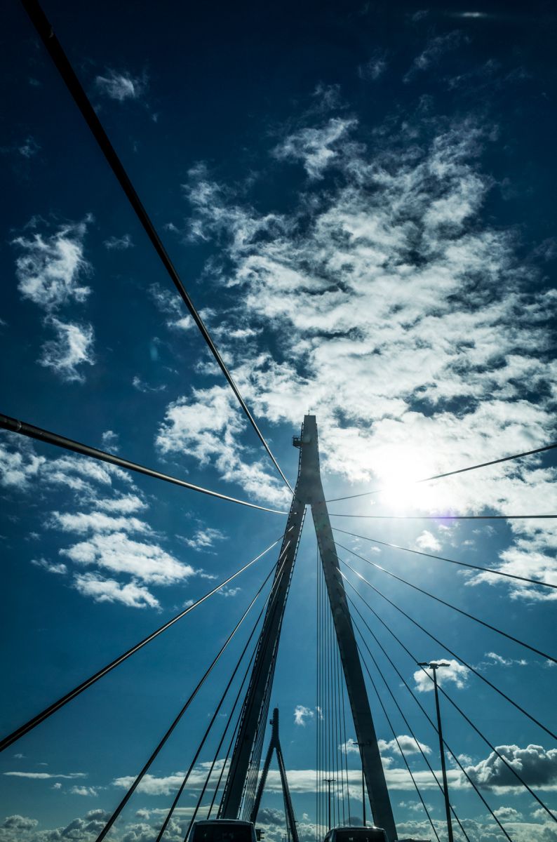 Dazzling world | GANREF