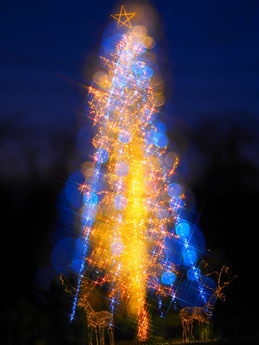 Merry Christmas | GANREF