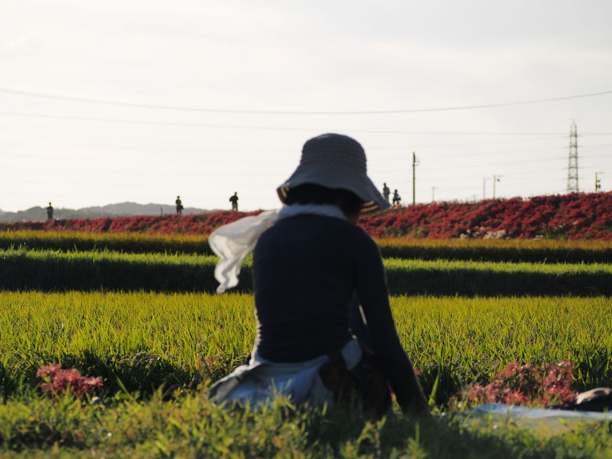 芸術の秋 | GANREF