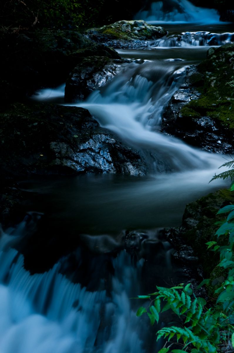 流れに乗って | GANREF