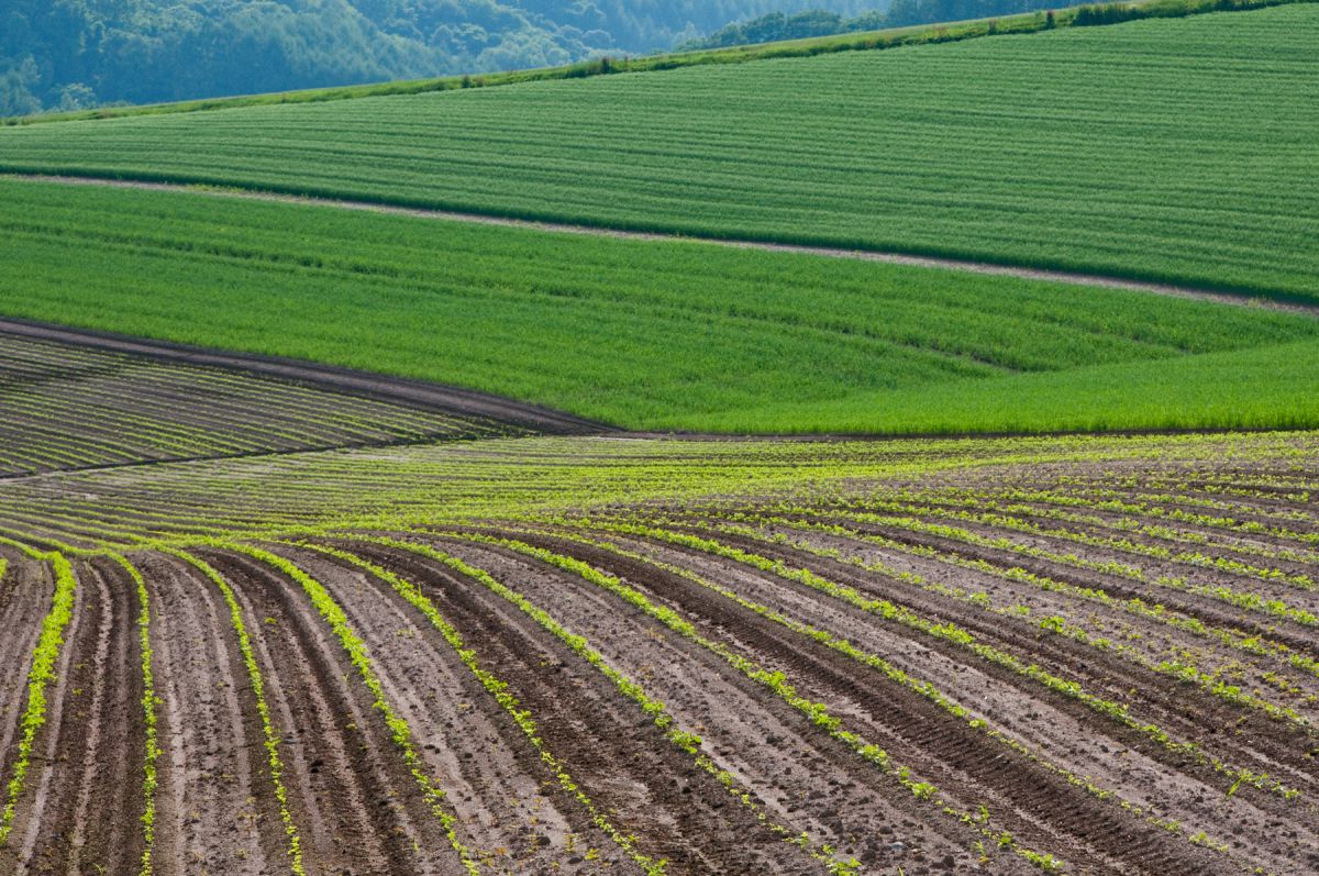 Green hills | GANREF