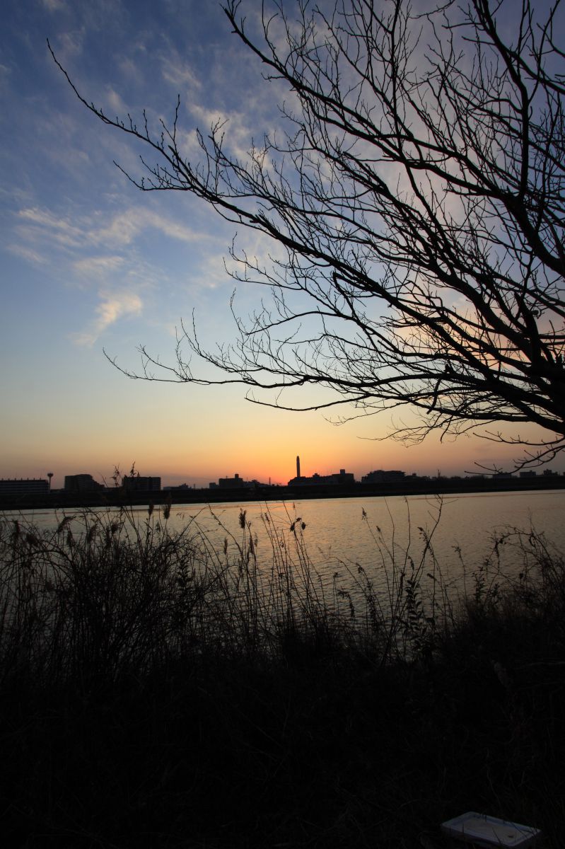 DPP_0666.JPG | GANREF