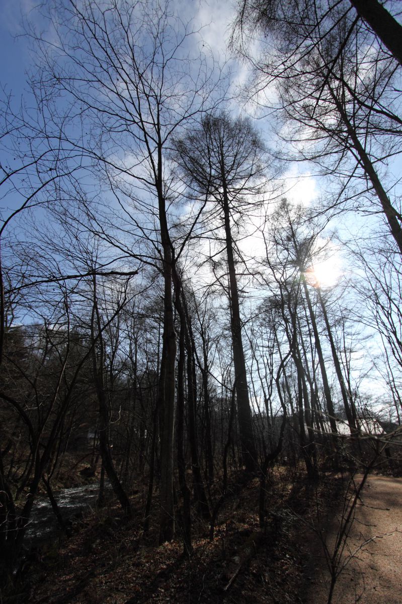 DPP_0228.JPG | GANREF