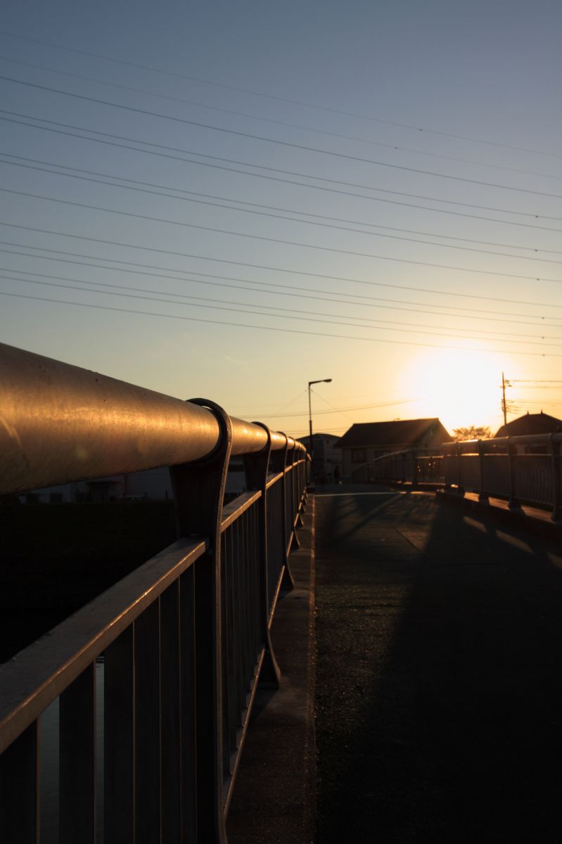 DPP_0187.JPG | GANREF