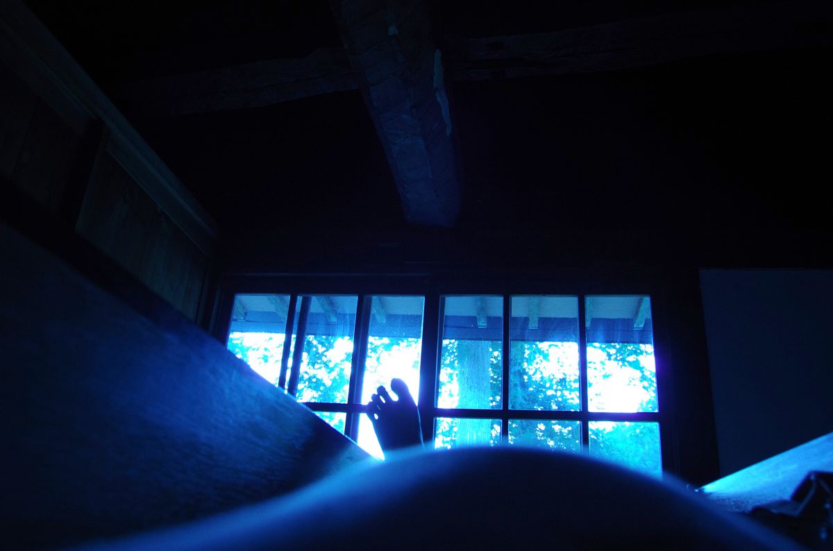 Self maternal portrait - in a blue room | GANREF