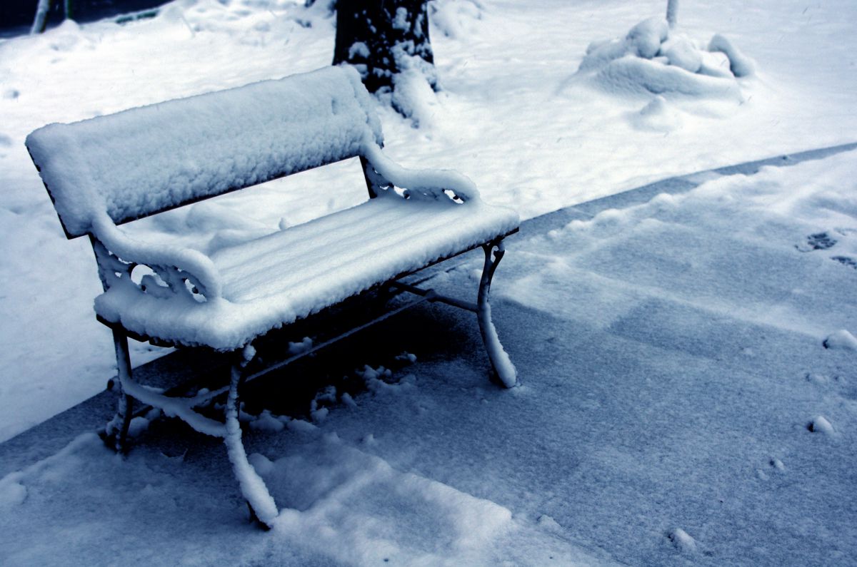 FROZEN BENCH | GANREF