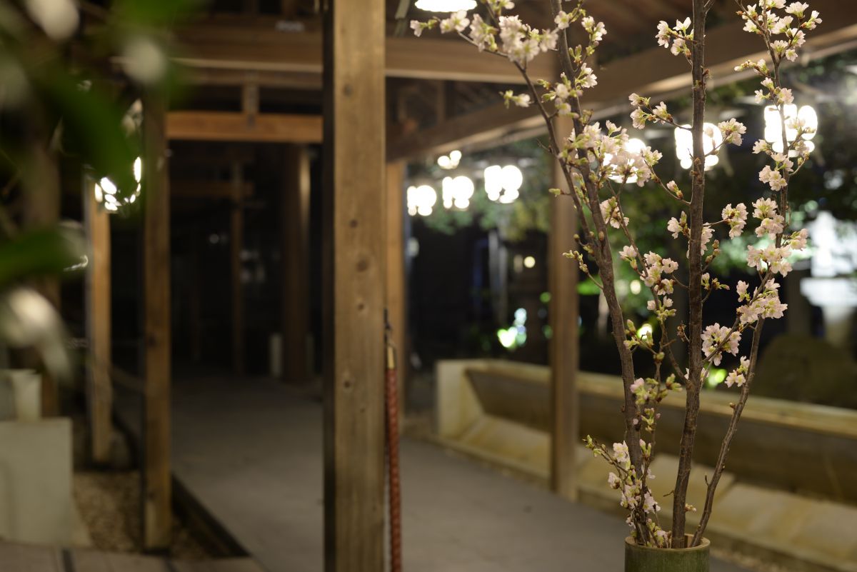 氷川神社と桜2018 | GANREF