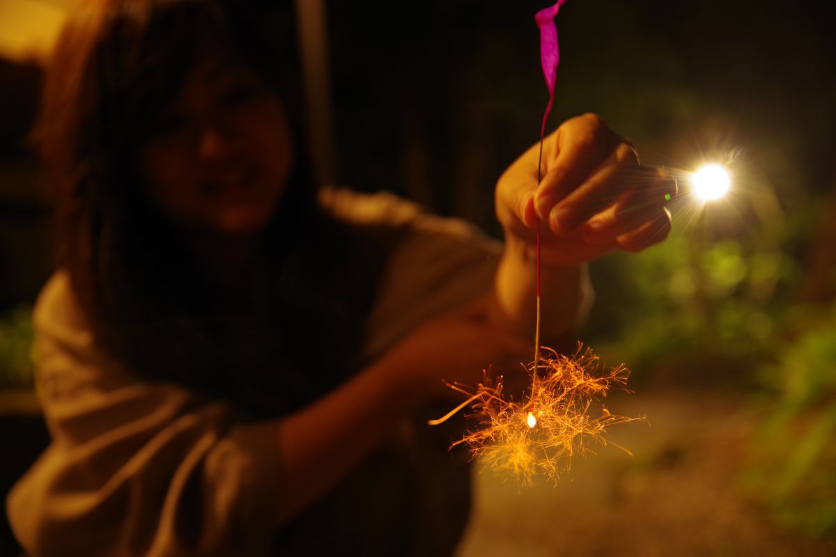 今年の思い出 | GANREF