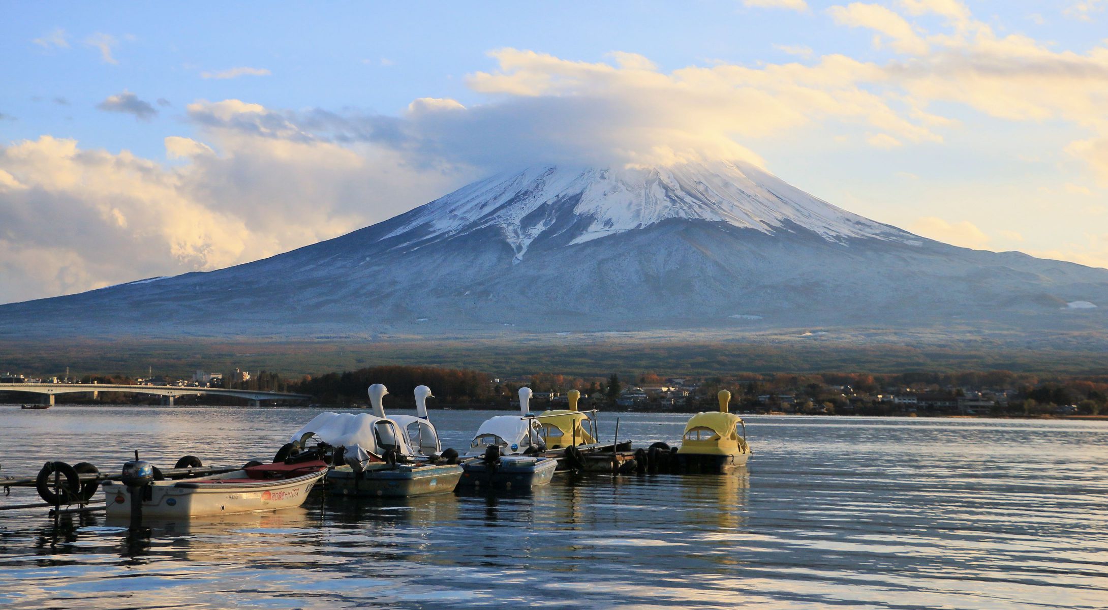 富士に白鳥？(The Nippon 別バージョン) | GANREF