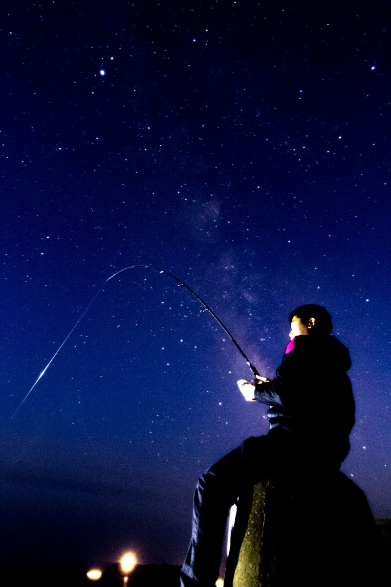 真夜中のAngler | GANREF