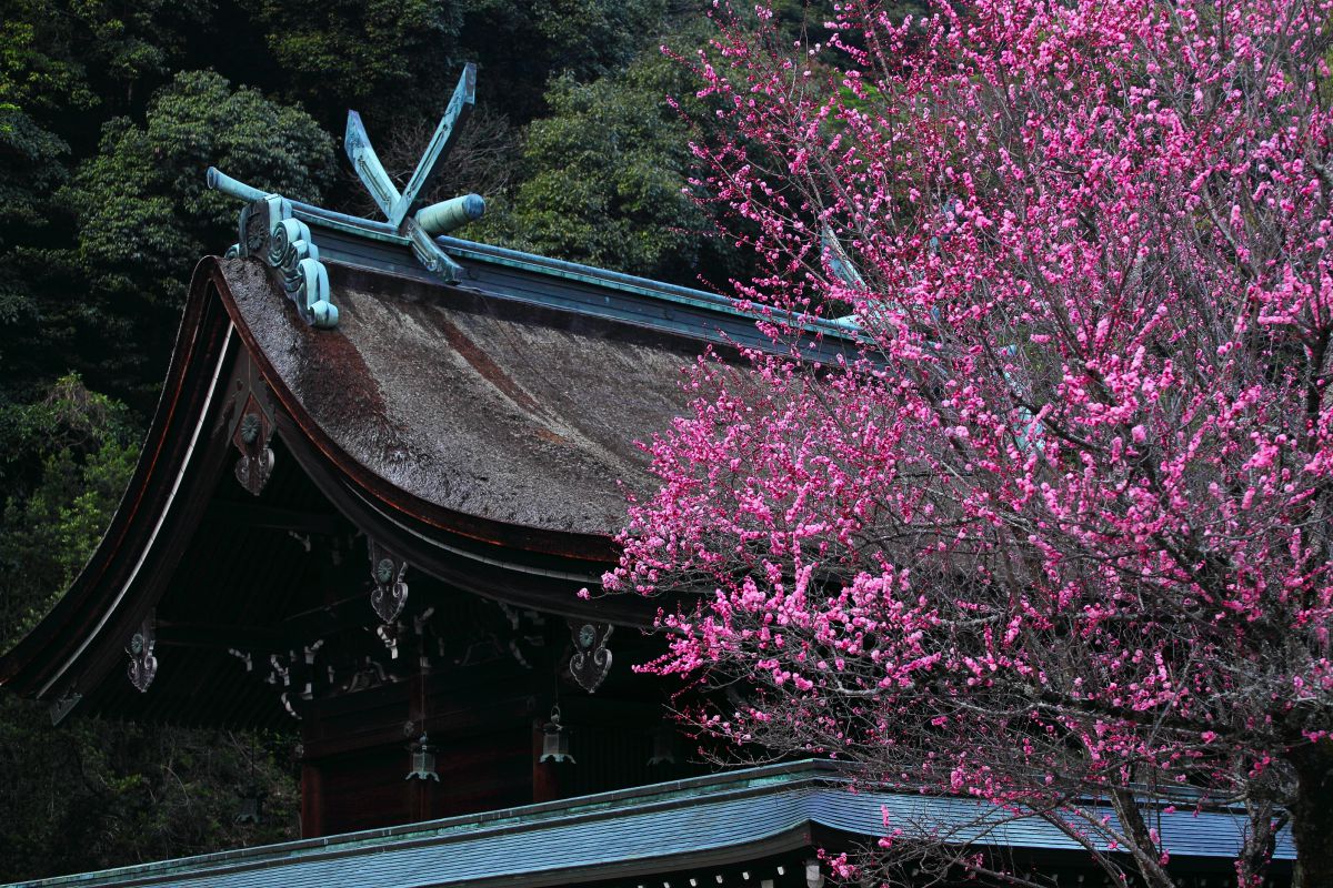 もう少し | GANREF