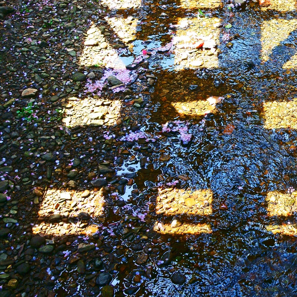 水様-127／Geometric light to a brook | GANREF