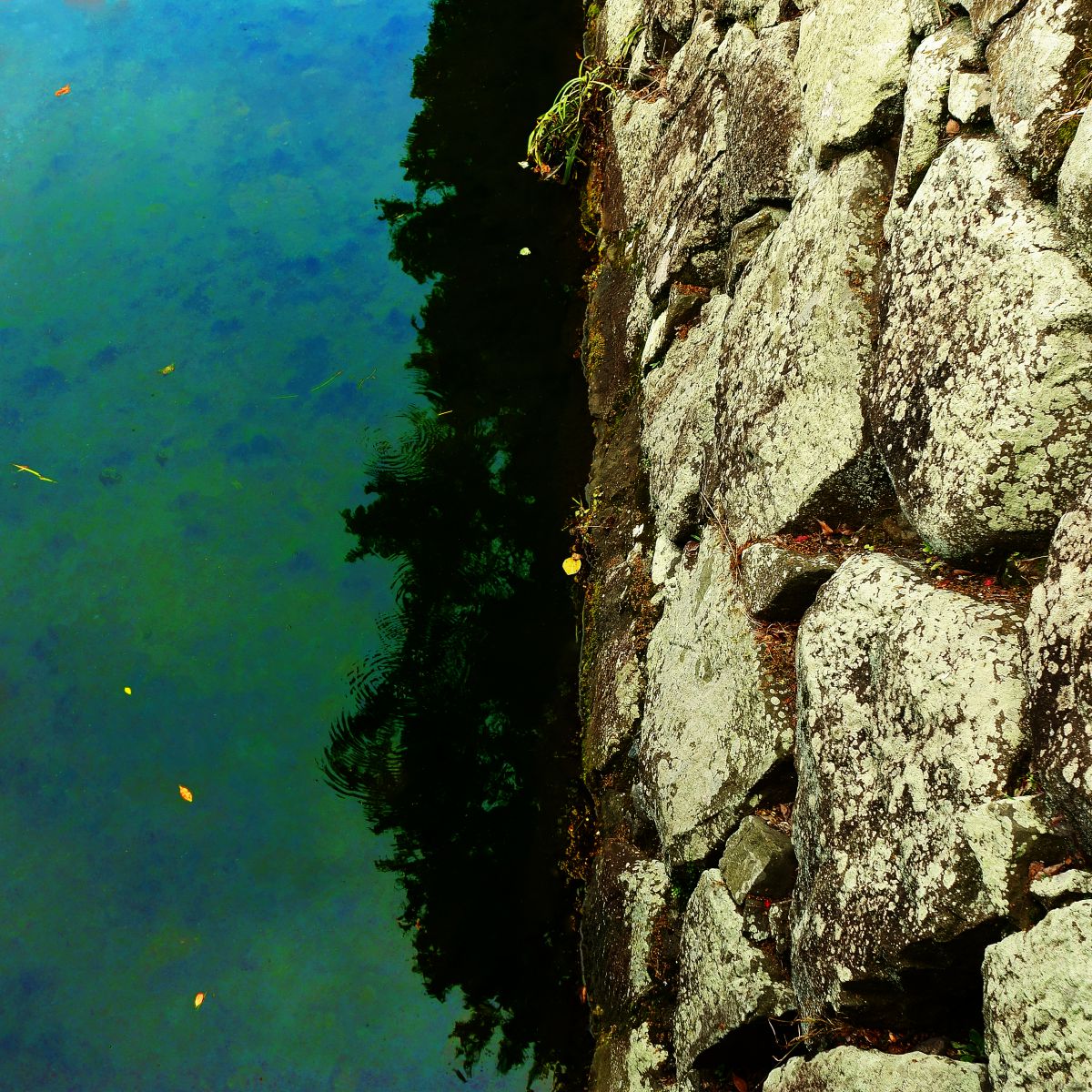 構成-91／On solids & a liquid border | GANREF