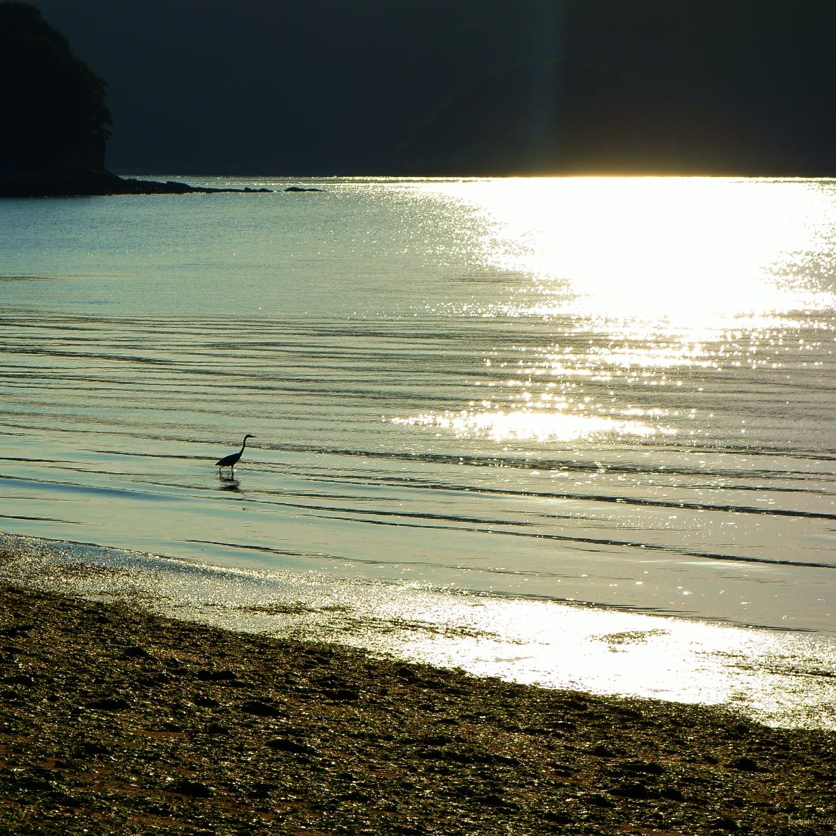 水様-126／The sea without sounds | GANREF