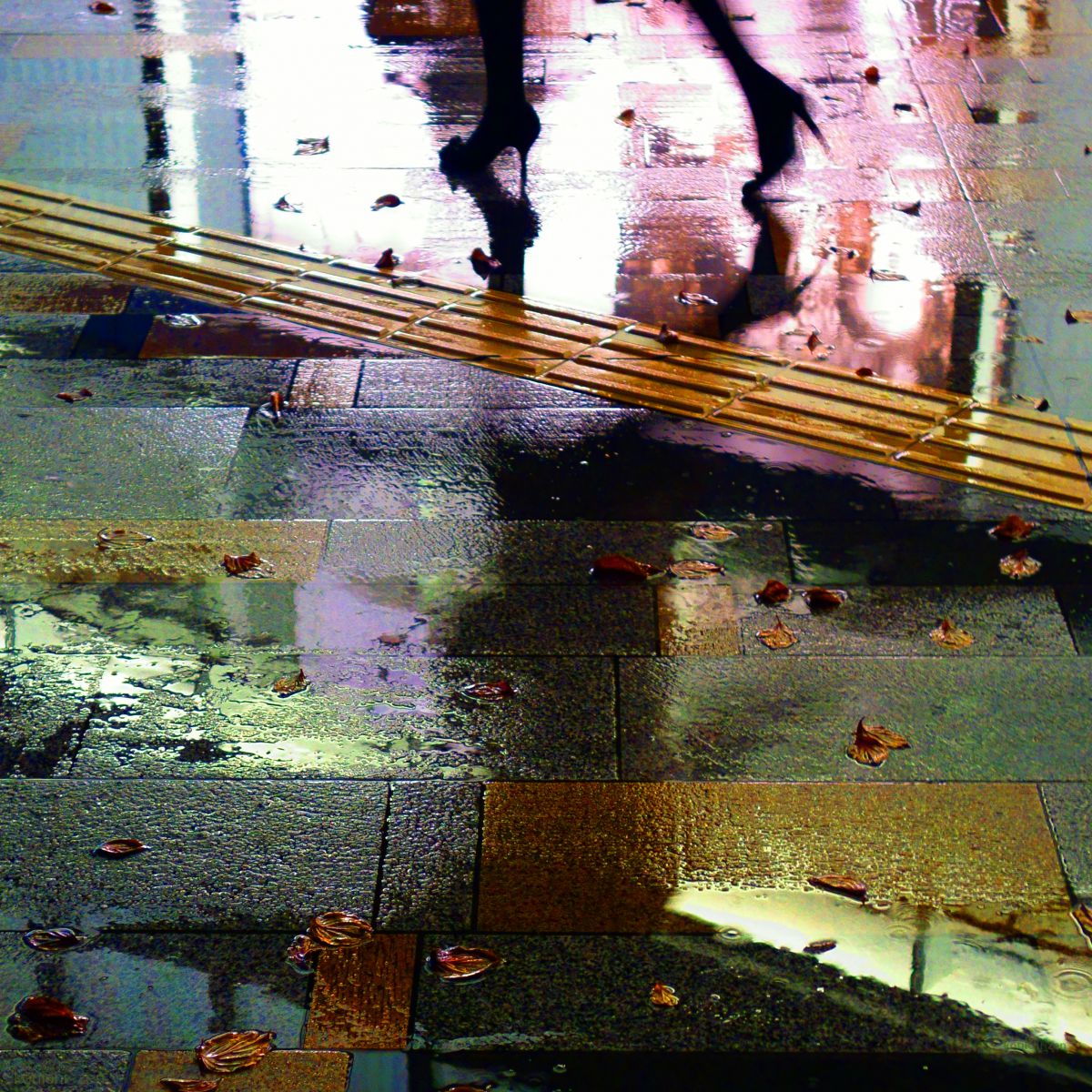 水様-128／ Stillness & motion in the rain | GANREF