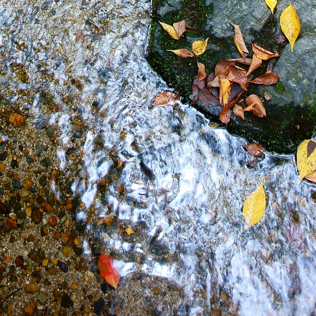 水様-95／Fixed stones and flowing water | GANREF