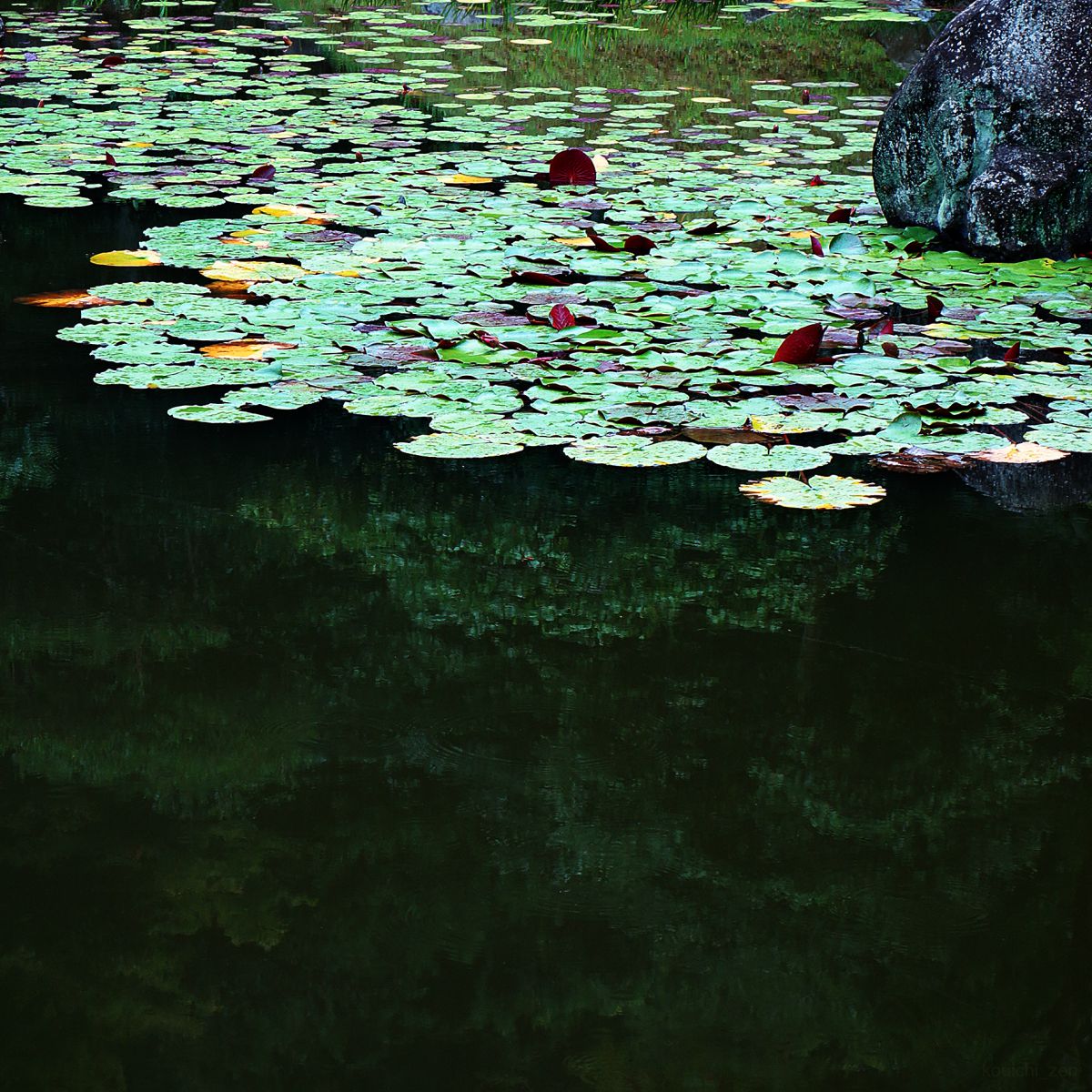 水様-104／Expanse of the stillness | GANREF