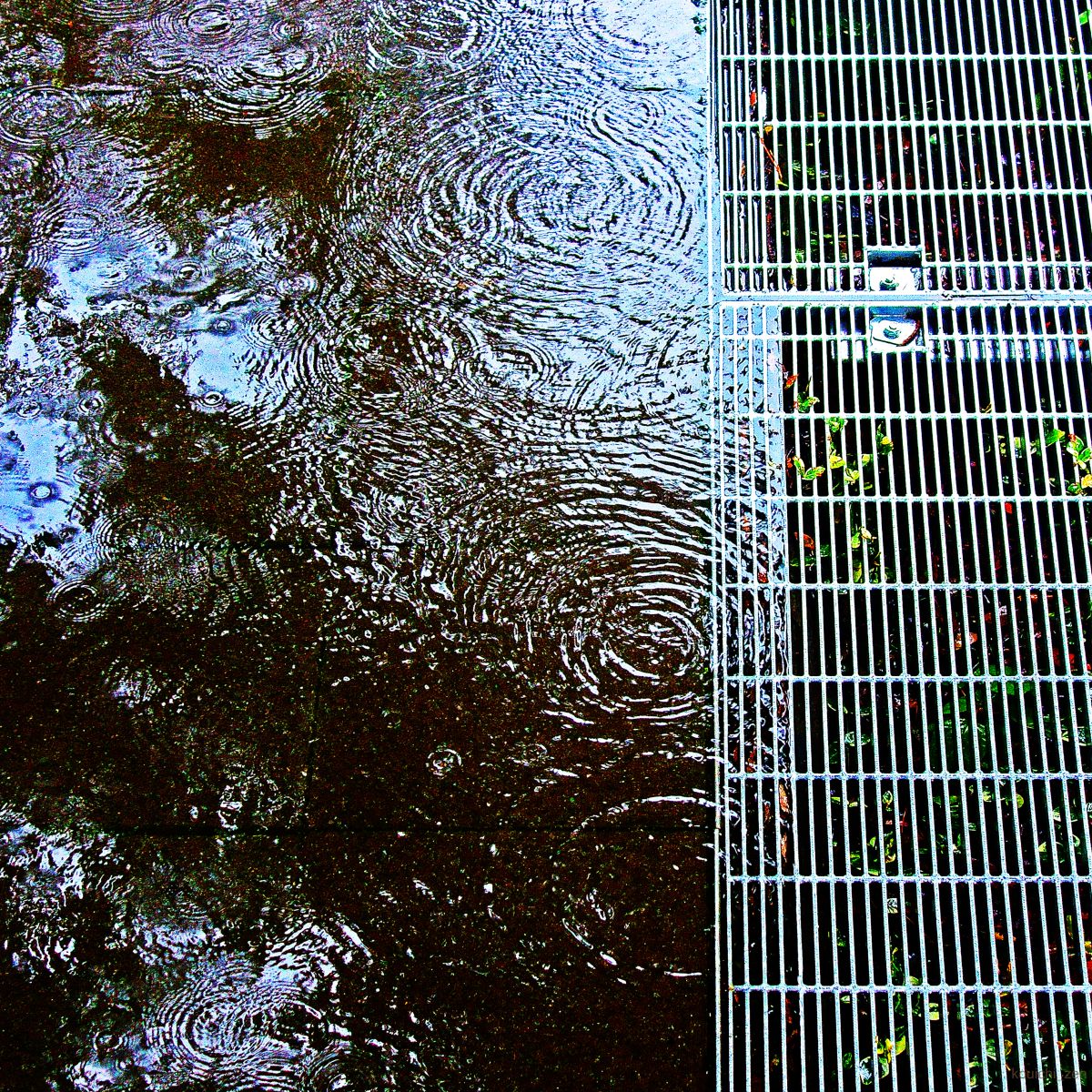 水様-103 ／natural circles & metallic lines | GANREF