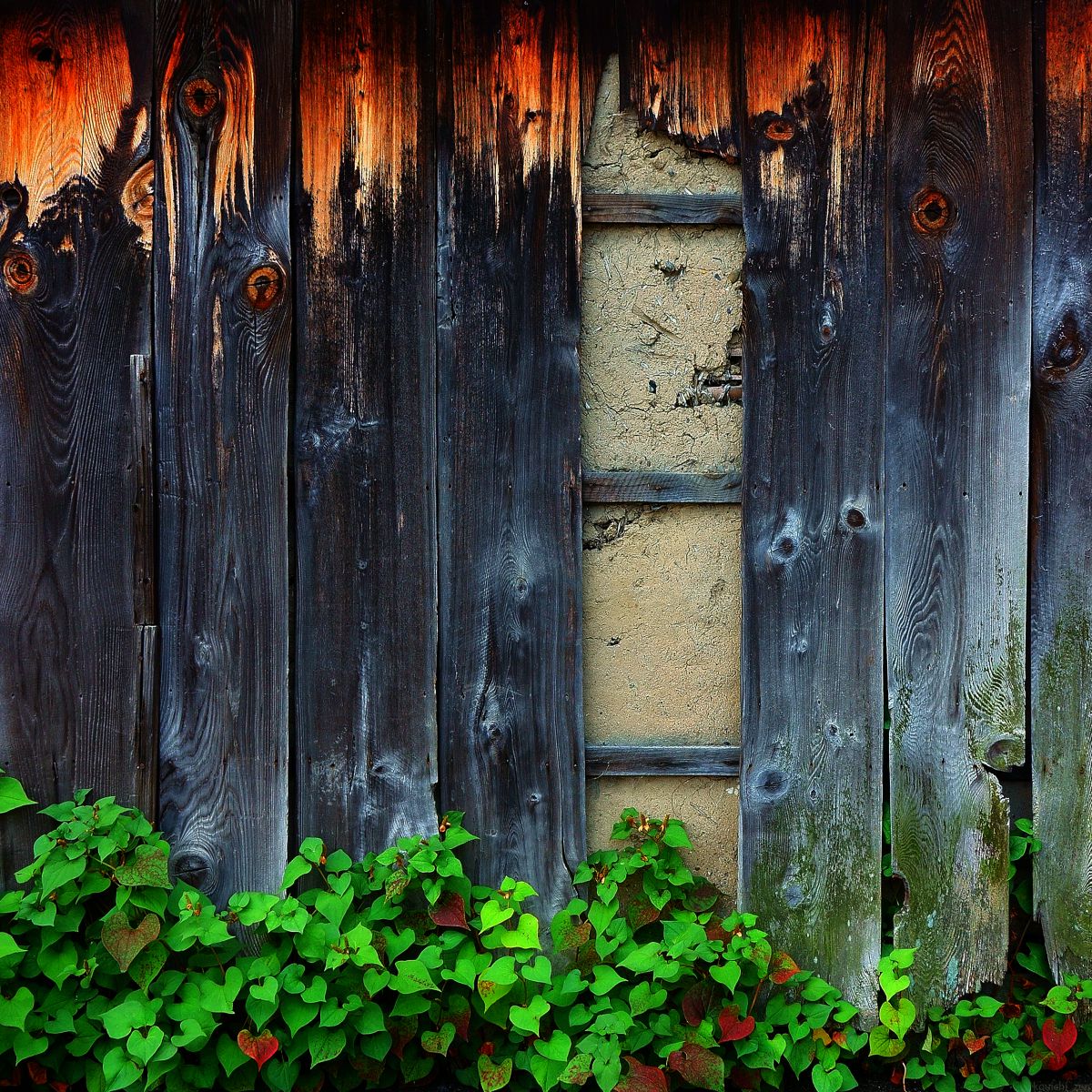 構成-92／Spiritual old wall with eyes | GANREF