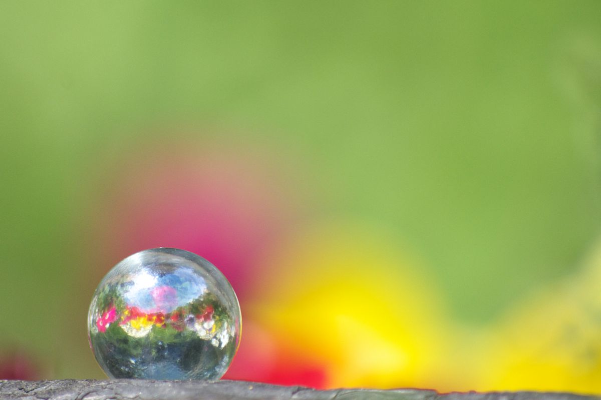 Color World | GANREF