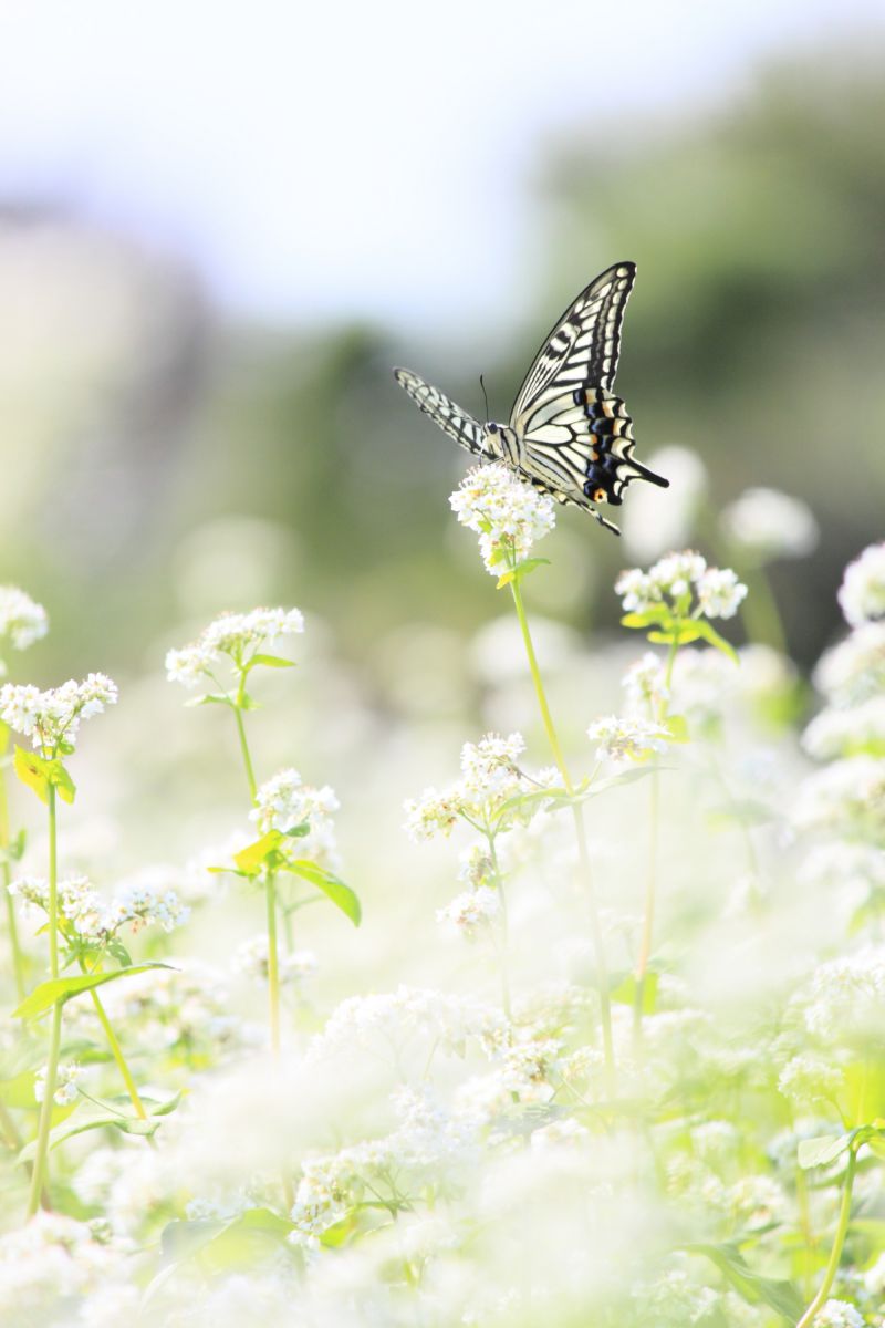 リラックスタイム | GANREF